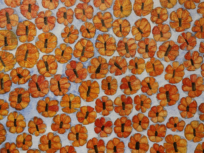 Sky Palace - Craig Talbot - Casa Lethbridge