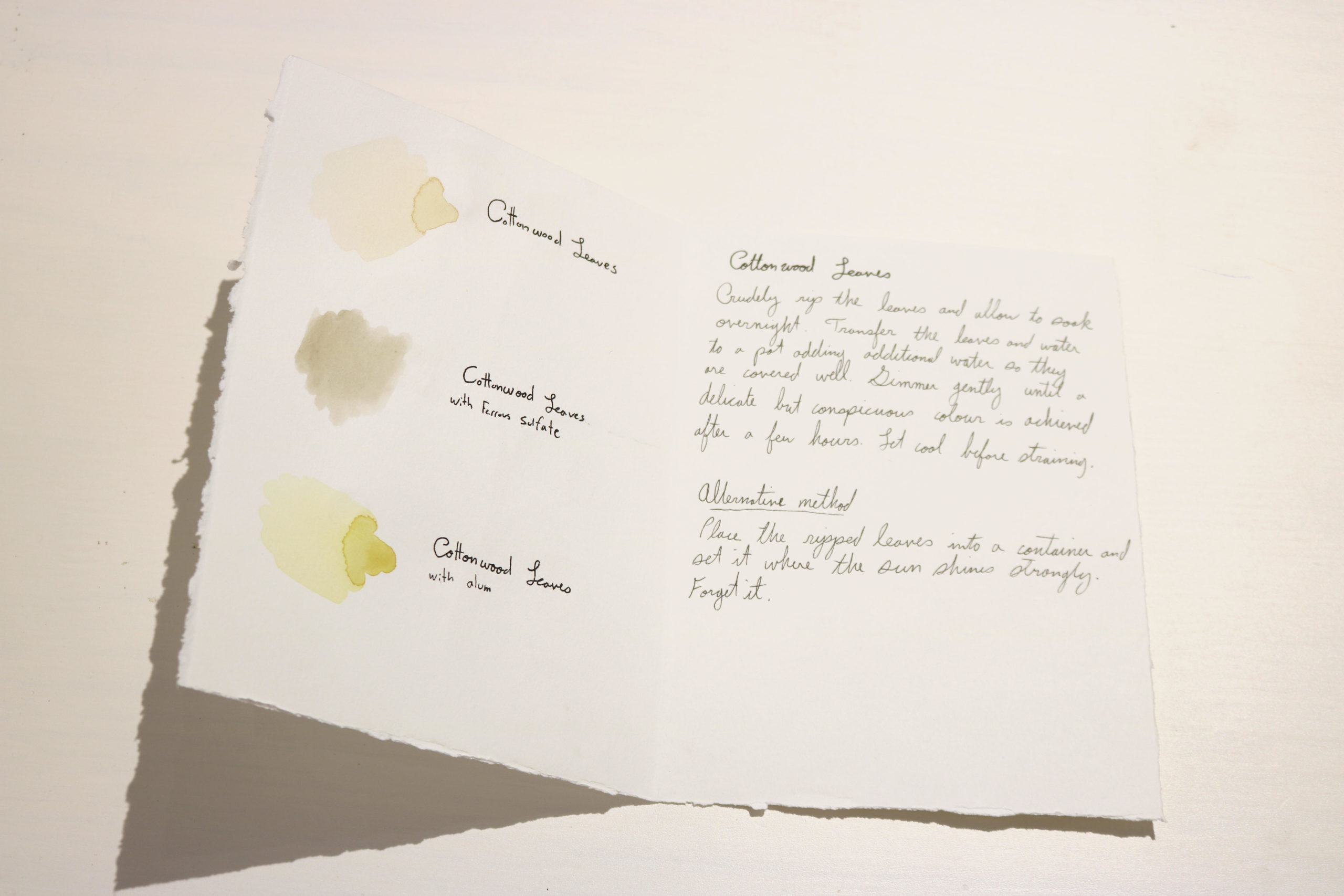 Niche – Louise Cameron - Casa Lethbridge