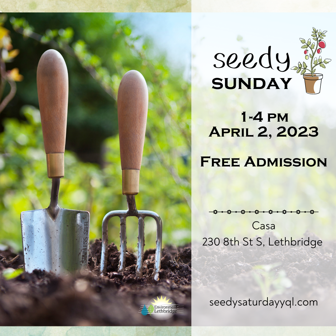 Seedy Sunday - Casa Lethbridge
