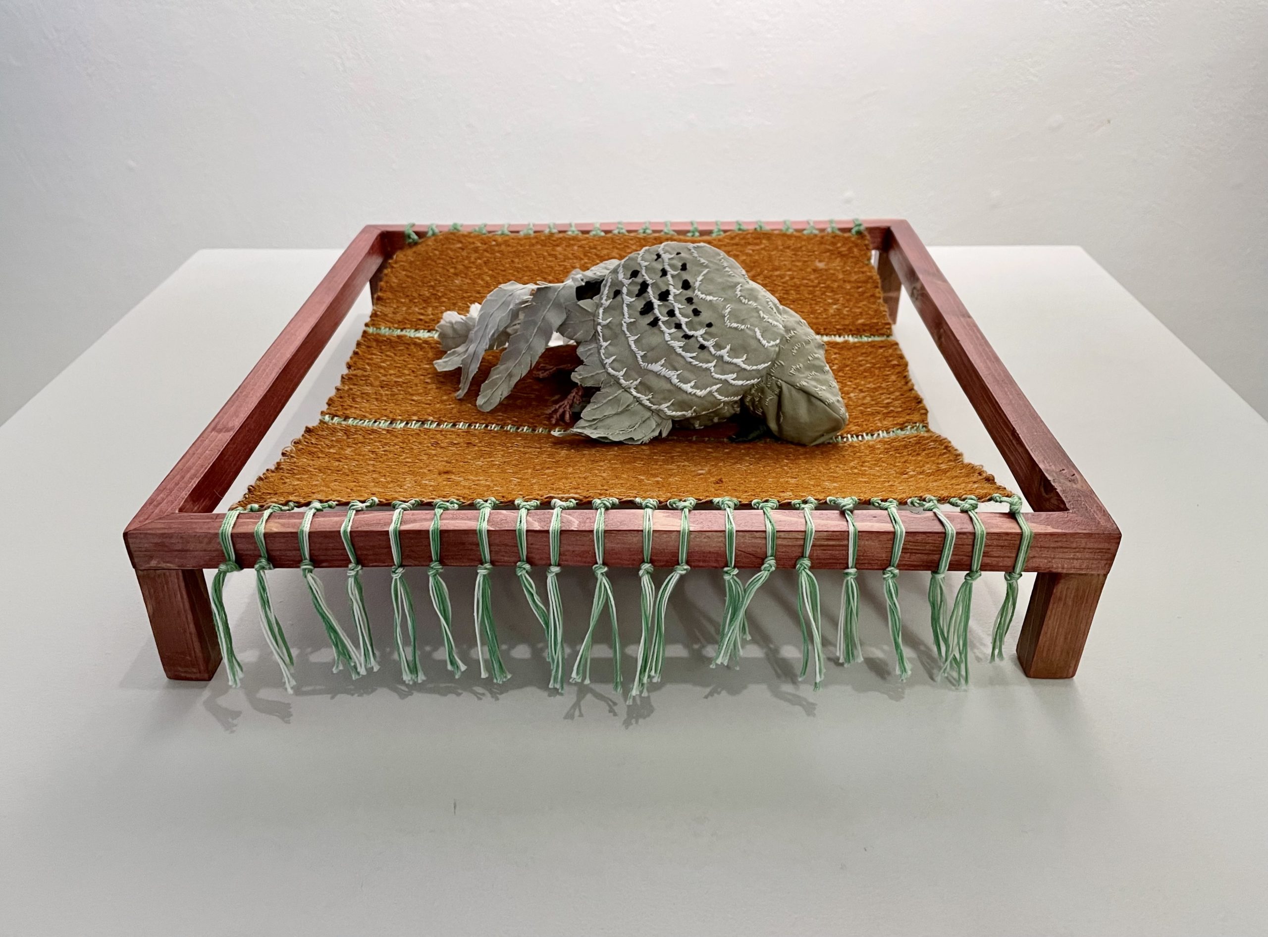 Mourning Dove - Isabel Kelly - Casa Lethbridge